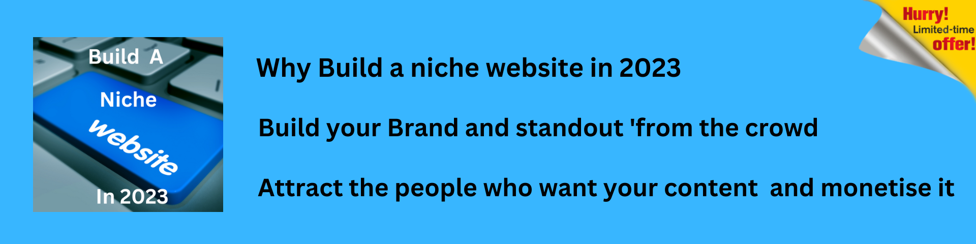 niche websitr 2023